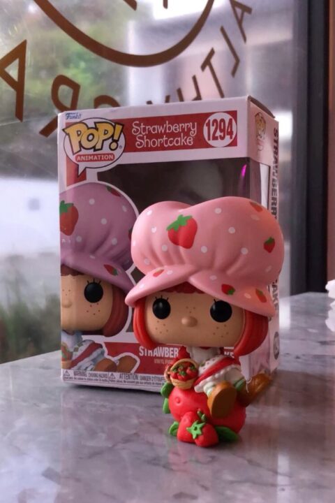 11 REASONS WHY WE LOVE STRAWBERRY SHORTCAKE - Nostalchicks