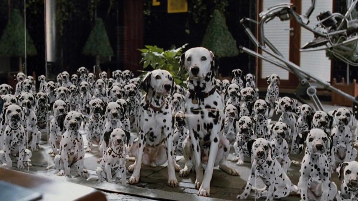 101 DALMATIANS LIVE ACTION MOVIE - Nostalchicks