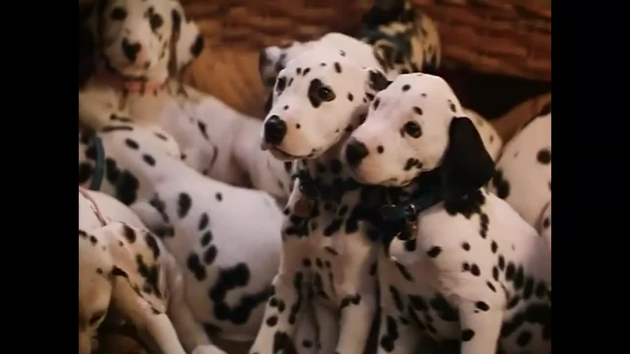101 DALMATIANS LIVE ACTION MOVIE - Nostalchicks