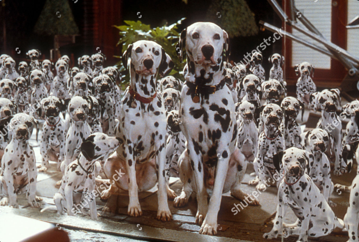 11 THINGS THAT MUST BE MENTIONED ABOUT 101 DALMATIANS - Nostalchicks